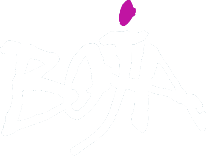 Inicio - Boja